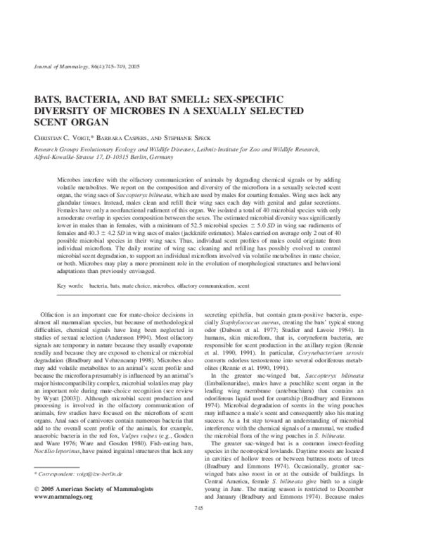 (PDF) Microbial Diversity in Bat Scent Organs