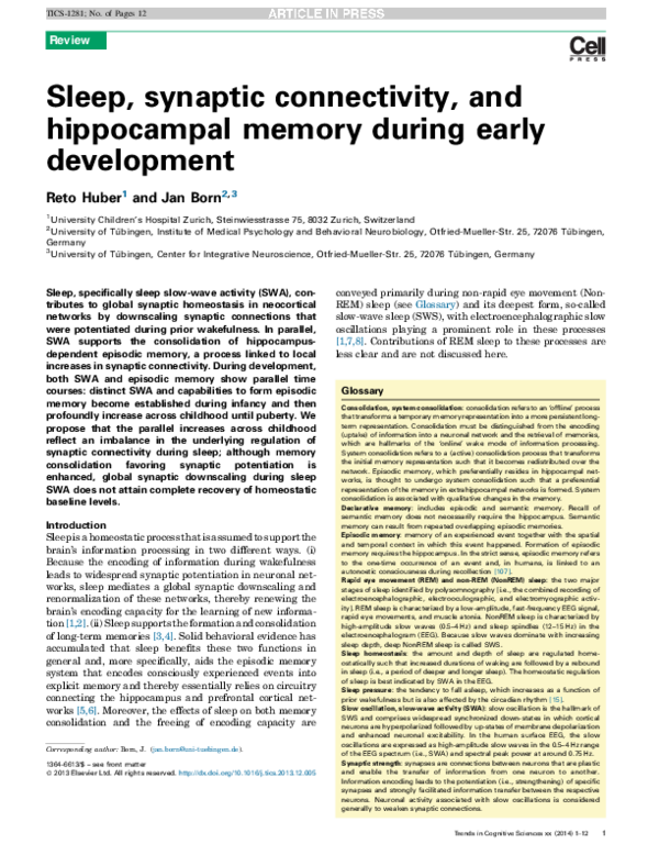 (PDF) Sleep, synaptic connectivity, and hippocampal memory during early ...