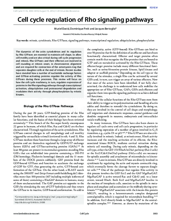 (PDF) Cell cycle regulation of Rho signaling pathways