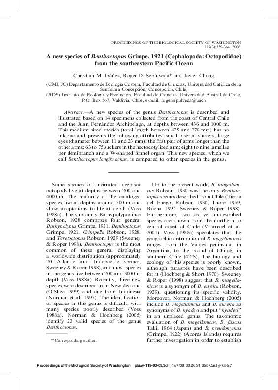 (PDF) A new species of Benthoctopus Grimpe, 1921 (Cephalopoda ...