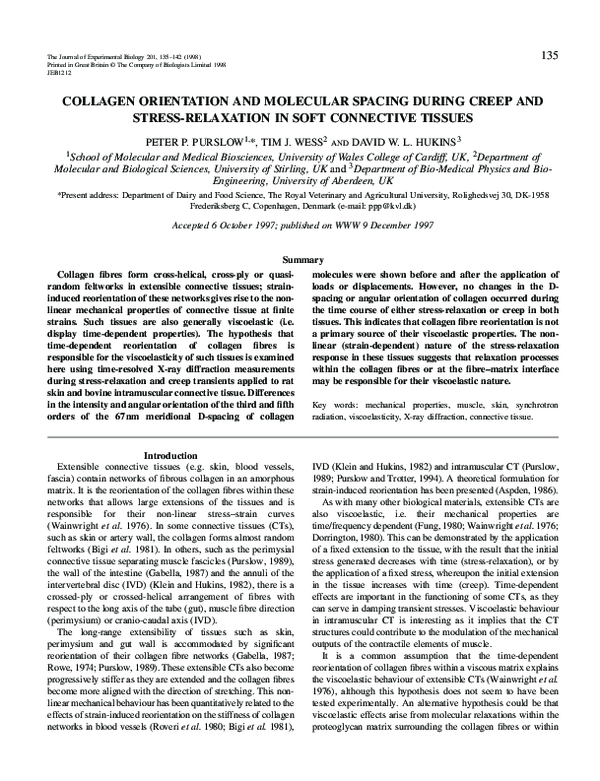 (PDF) Collagen orientation and molecular spacing during creep and ...