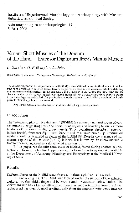 (PDF) Variant short muscles of the dorsum of the hand – extensor ...