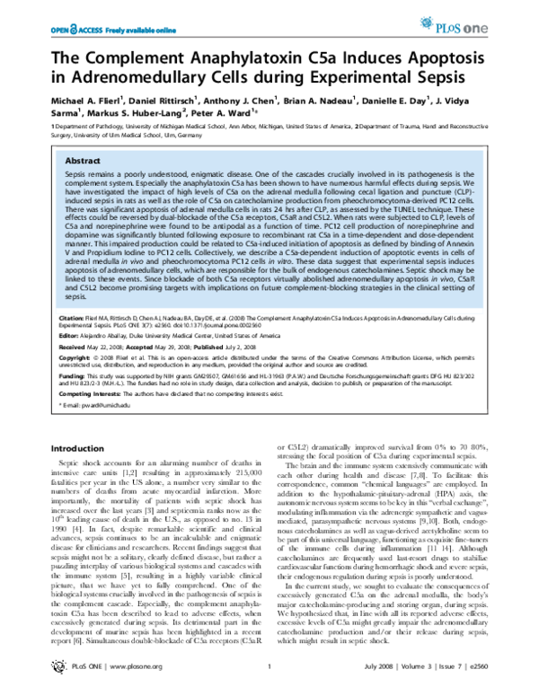 (PDF) The Complement Anaphylatoxin C5a Induces Apoptosis in ...