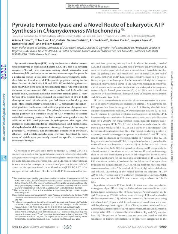 (PDF) Pyruvate Formate-lyase and a Novel Route of Eukaryotic ATP ...