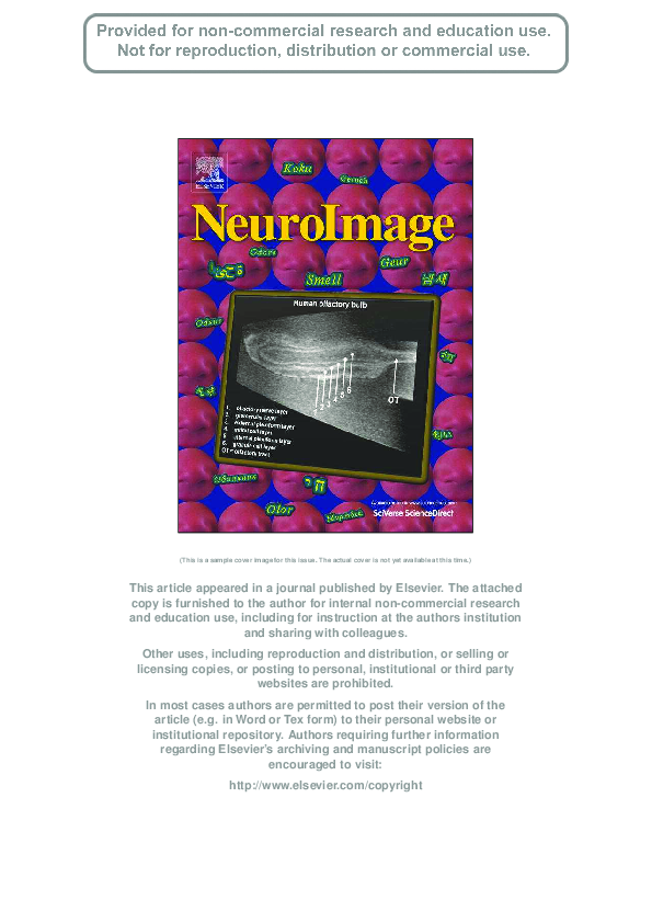 (PDF) Spatial patterning of the neonatal EEG suggests a need for a high ...