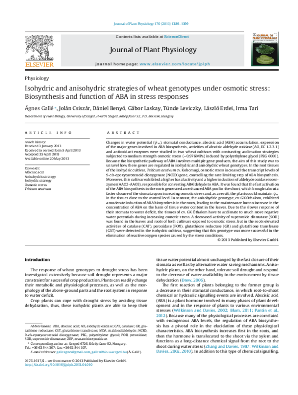 (PDF) Isohydric and anisohydric strategies of wheat genotypes under ...