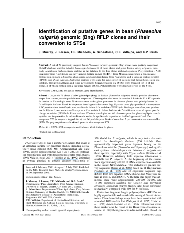 (PDF) Identification of putative genes in bean ( Phaseolus vulgaris ...