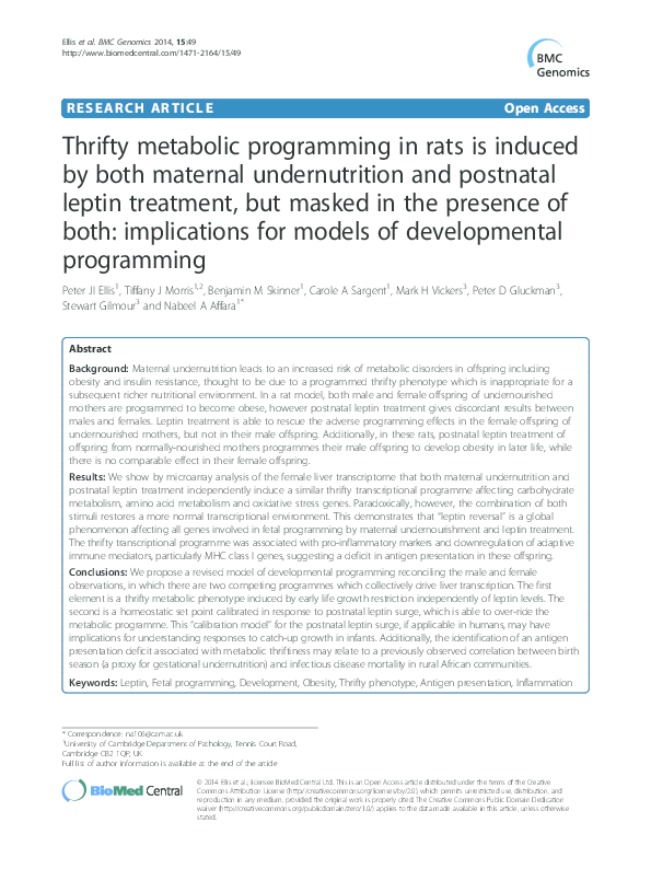 (PDF) Thrifty metabolic programming in rats is induced by both maternal ...