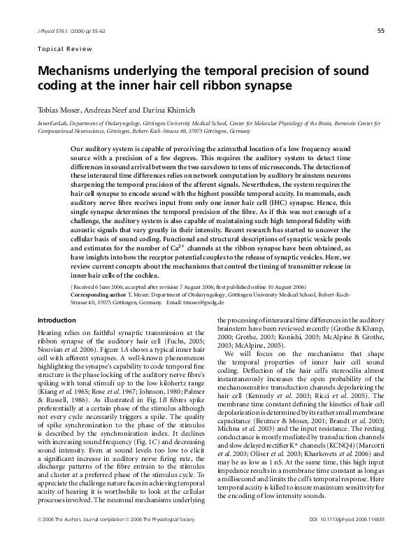 (PDF) Mechanisms underlying the temporal precision of sound coding at ...