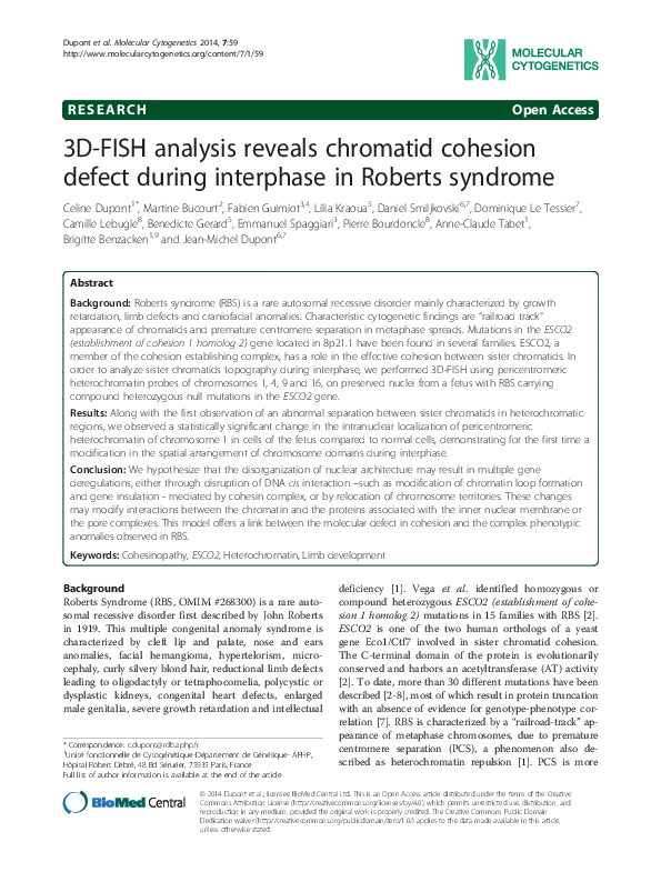 (PDF) 3D-FISH analysis reveals chromatid cohesion defect during ...