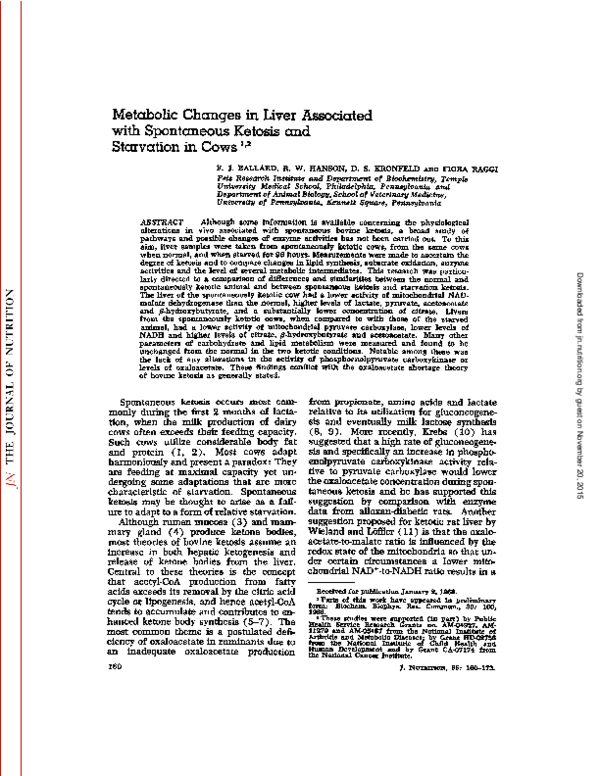 (PDF) Metabolie Changes in Liver Associated with Spontaneous Ketosis ...