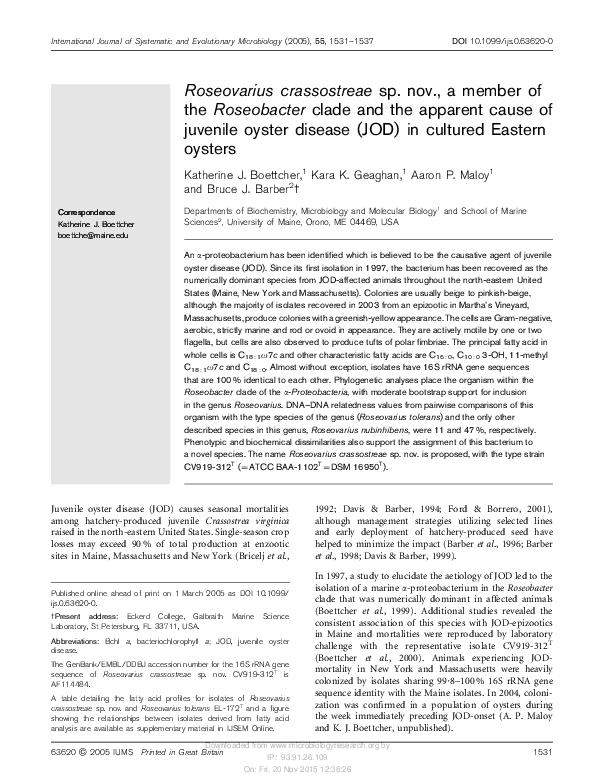 (PDF) Roseovarius crassostreae sp. nov., a member of the Roseobacter ...