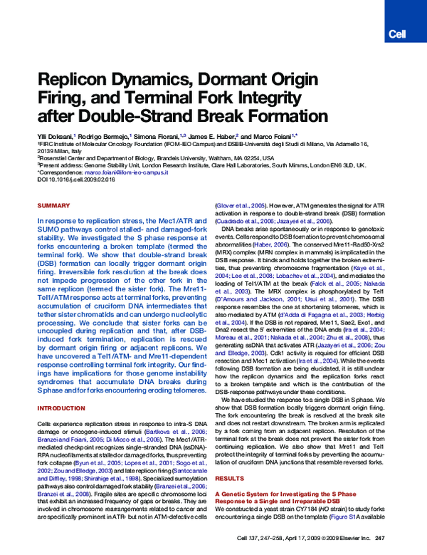 (PDF) Replicon Dynamics, Dormant Origin Firing, and Terminal Fork Integrity after Double-Strand ...