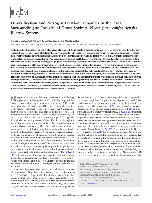 (PDF) Denitrification and Nitrogen Fixation Dynamics in the Area ...