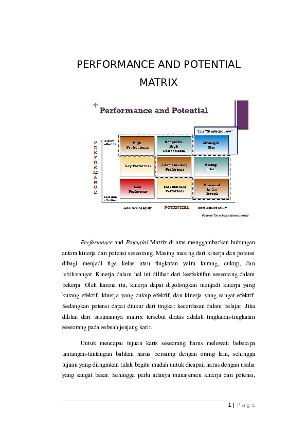(DOC) PERFORMANCE AND POTENTIAL MATRIX