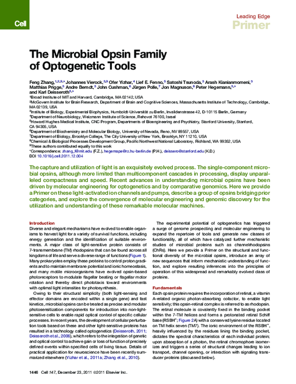 (PDF) The Microbial Opsin Family of Optogenetic Tools