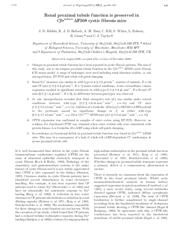 (PDF) Renal proximal tubule function is preserved in ...
