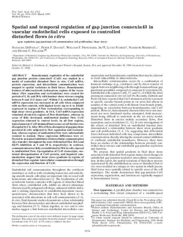 (PDF) Spatial and temporal regulation of gap junction connexin43 in ...