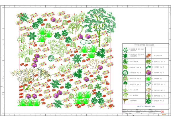 (PDF) Mapa de Distribución en Diversidad de Flora Área de 4M2