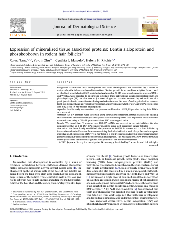 (PDF) Human dentin phosphophoryn nucleotide and amino acid sequence ...