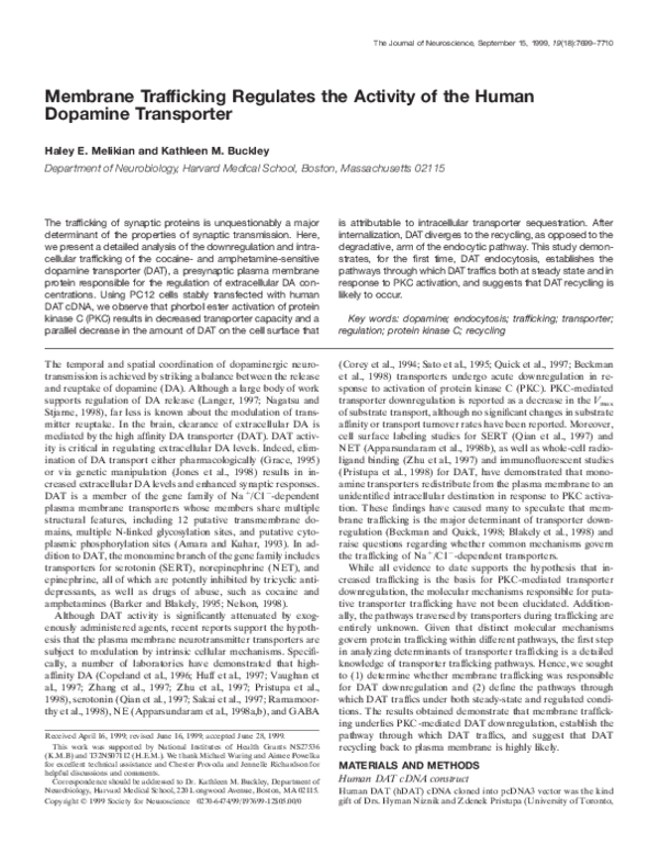 (PDF) Membrane trafficking regulates the activity of the human dopamine ...