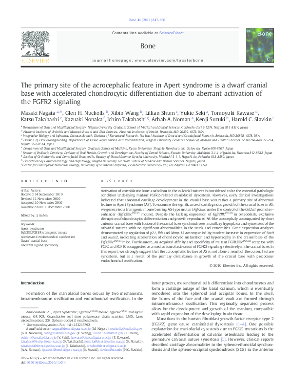 (PDF) The primary site of the acrocephalic feature in Apert syndrome is ...