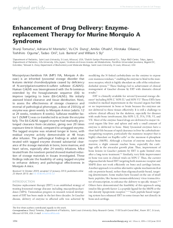 (PDF) Enzyme replacement therapy in a murine model of Morquio A ...