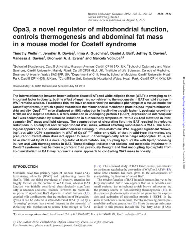 (PDF) Opa3, a novel regulator of mitochondrial function, controls ...