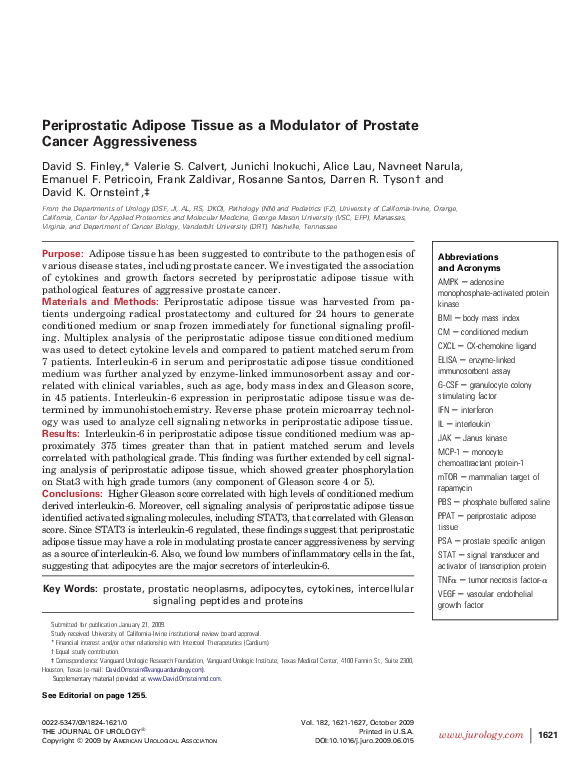 (PDF) PERIPROSTATIC ADIPOSE TISSUE AS A MODULATOR OF PROSTATE CANCER ...