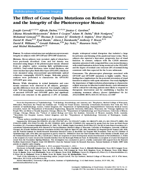 (PDF) The Effect of Cone Opsin Mutations on Retinal Structure and the ...