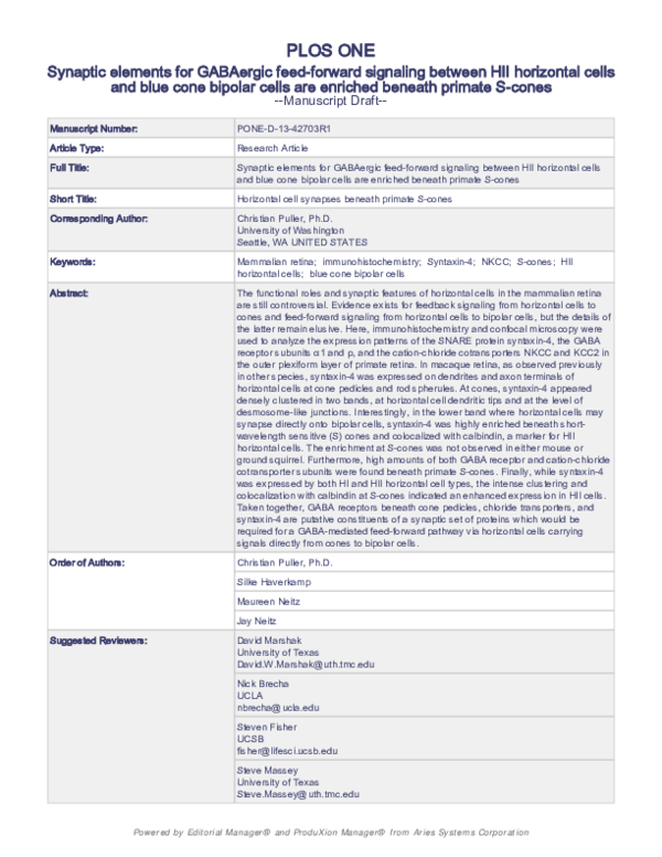 (PDF) Amacrine and bipolar inputs to midget and parasol ganglion cells ...