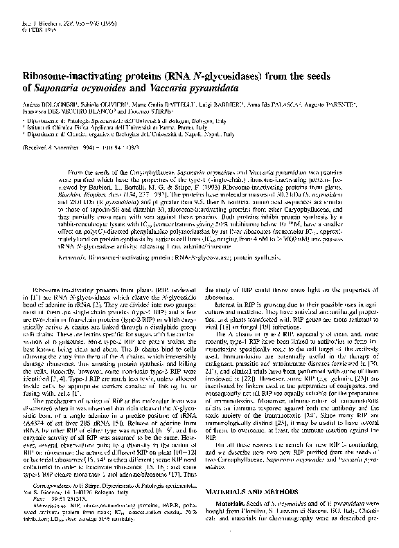 (PDF) Ribosome-Inactivating Proteins (RNA N-glycosidases) from the ...