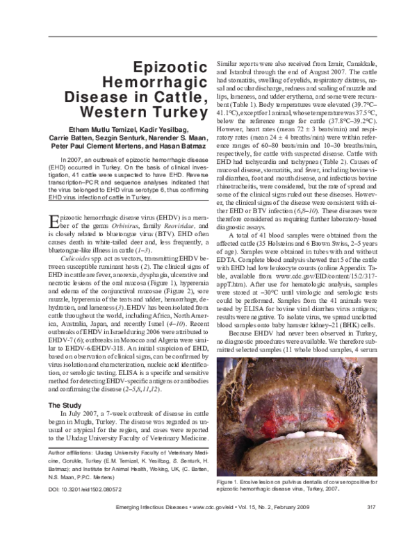 (PDF) Epizootic Hemorrhagic Disease in Cattle, Western Turkey