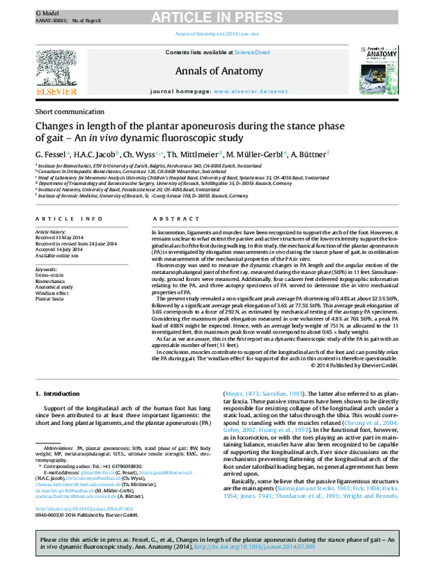 (PDF) Changes in length of the plantar aponeurosis during the stance ...