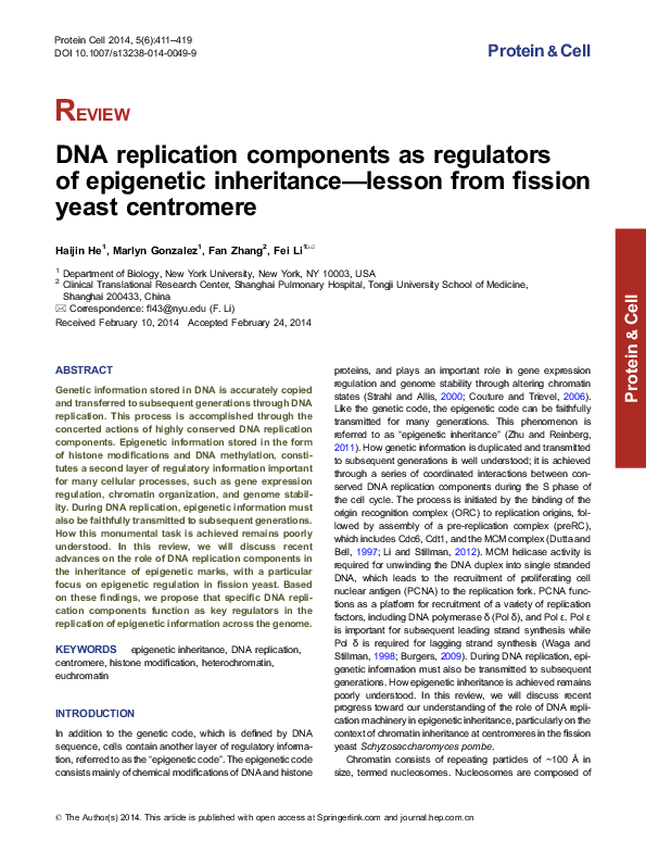 (PDF) DNA replication components as regulators of epigenetic ...