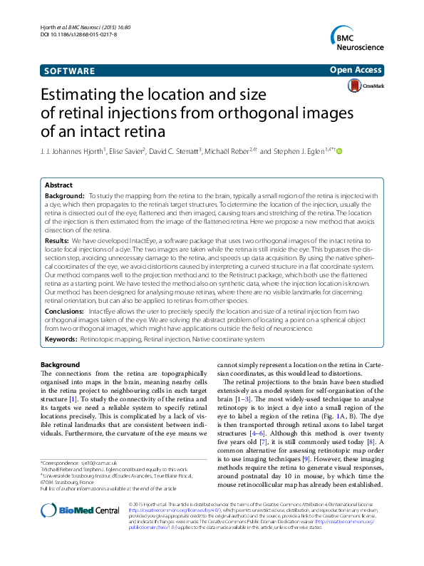 Estimating the location and size of retinal injections from orthogonal ...