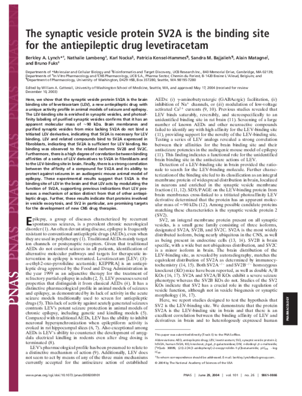 (PDF) SV2A as the Binding Site for Levetiracetam