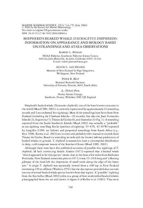 (PDF) SHEPHERD'S BEAKED WHALE (TASMACETUS SHEPHERDI): INFORMATION ON ...