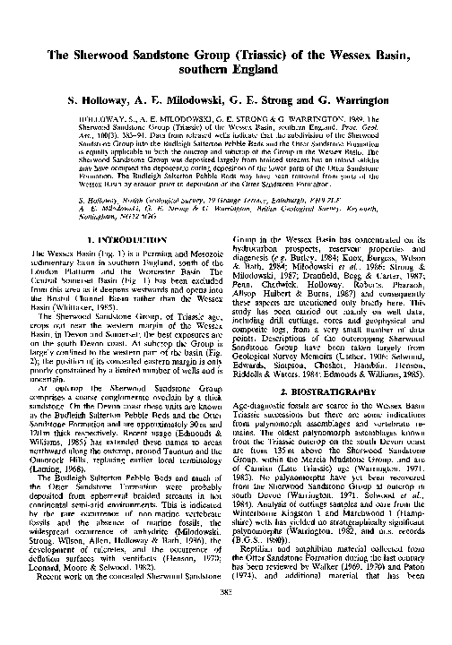 (PDF) The Sherwood Sandstone Group (Triassic) of the Wessex Basin ...