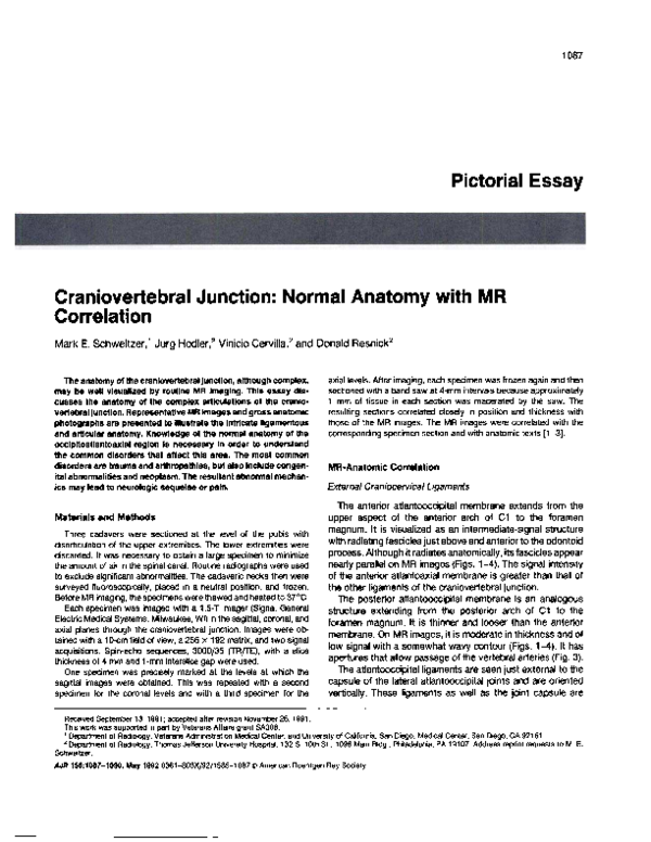 (PDF) Craniovertebral junction: normal anatomy with MR correlation