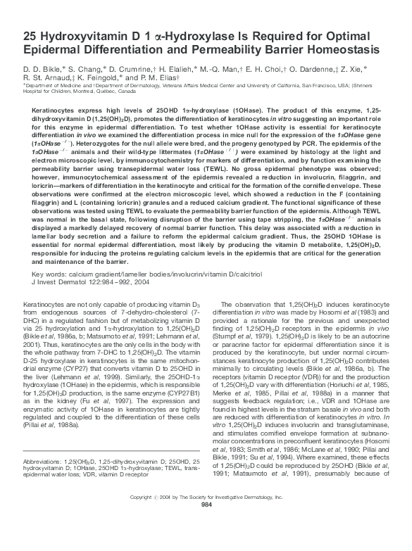 (PDF) 25 Hydroxyvitamin D 1 alpha-Hydroxylase Is Required for Optimal ...