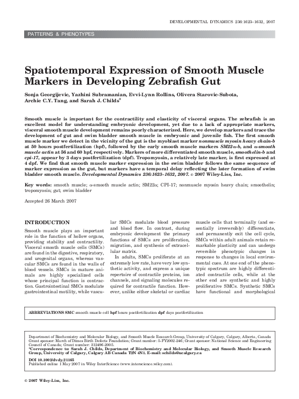 (PDF) Spatiotemporal expression of smooth muscle markers in developing ...