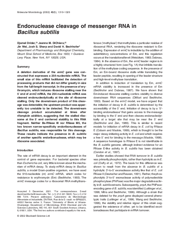 (PDF) Endonuclease cleavage of messenger RNA in Bacillus subtilis