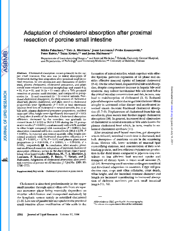 Guide de réduction du cholestérol