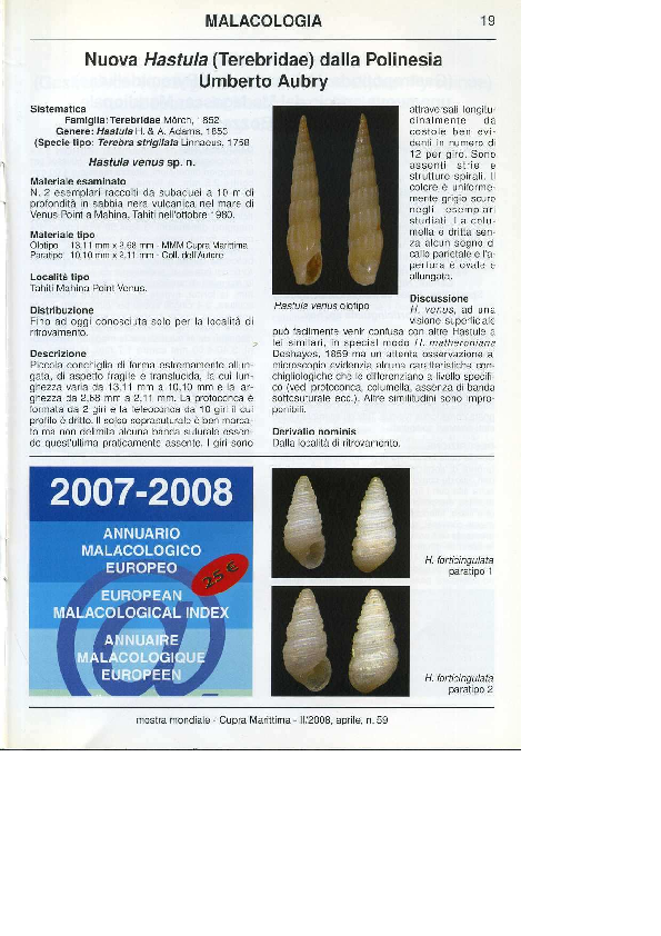 (PDF) Hinemoa forticingulata (Gastropopoda: Heterostropha ...