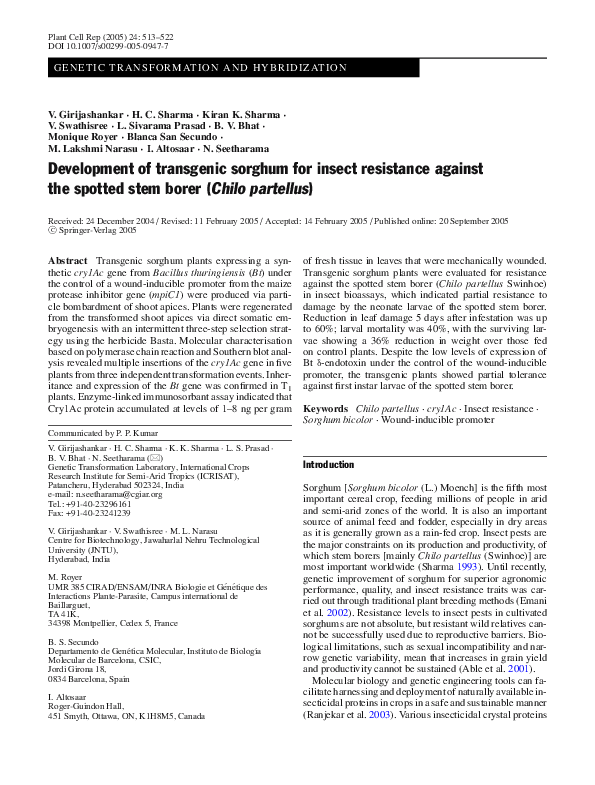 (PDF) Development of transgenic sorghum for insect resistance against ...