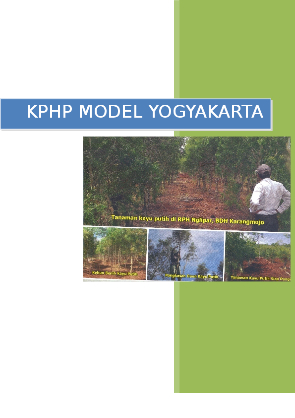 (DOC) PROFIL KPHP MODEL YOGYAKARTA 16052012