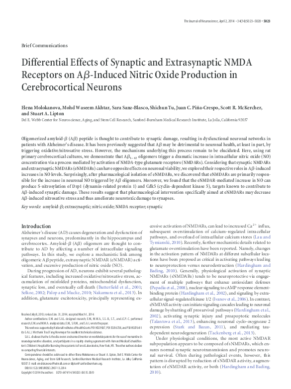 (PDF) Differential Effects of Synaptic and Extrasynaptic NMDA Receptors ...