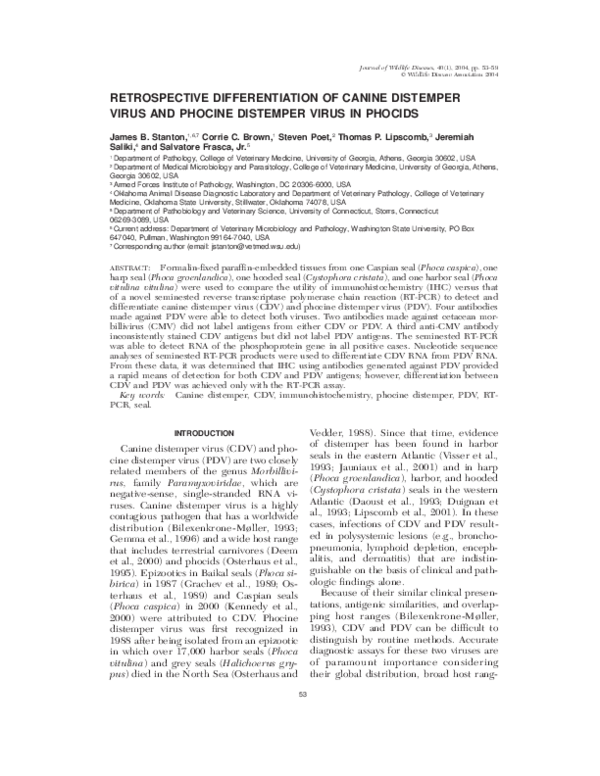 (PDF) RETROSPECTIVE DIFFERENTIATION OF CANINE DISTEMPER VIRUS AND ...