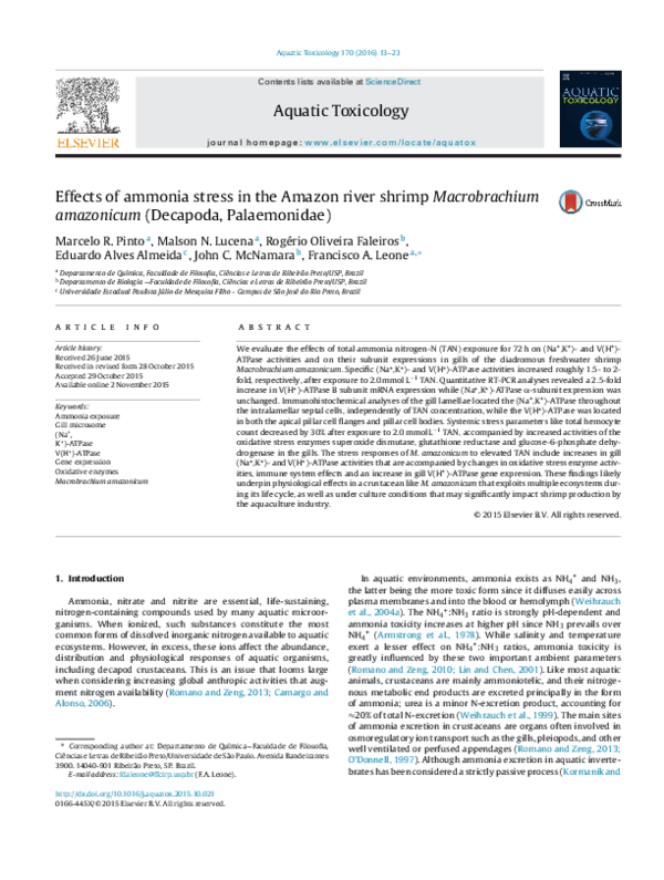 (PDF) EFFECTS OF AMMONIA STRESS IN THE AMAZON RIVER SHRIMP ...